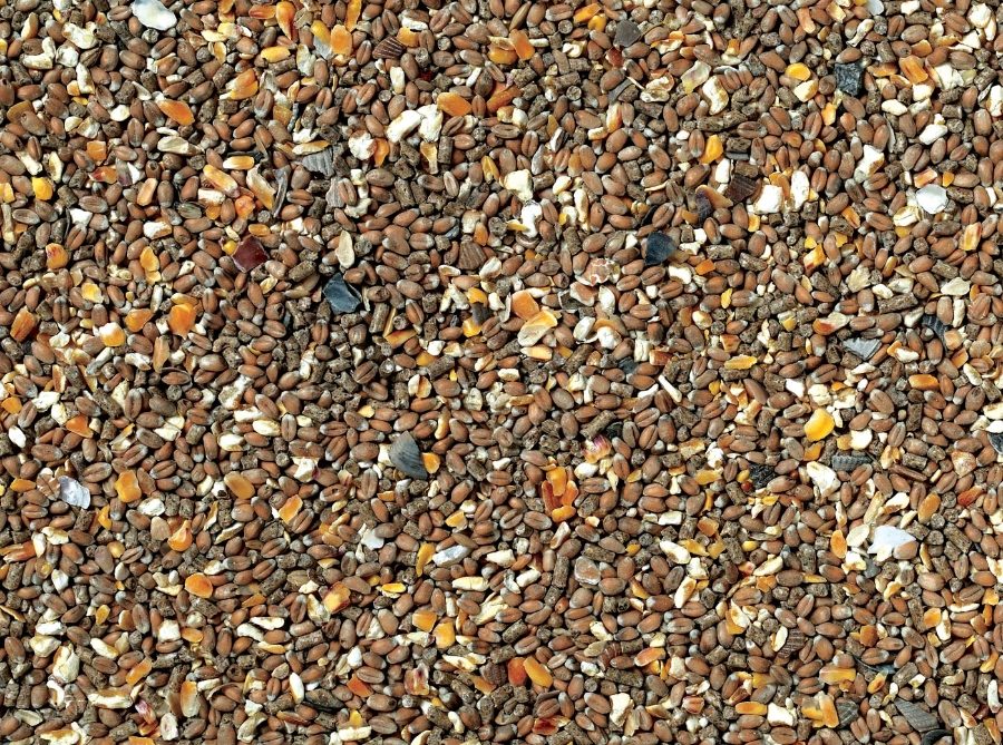 J&j Chicken Corn Extra With Oyster Shell Grit 20kg