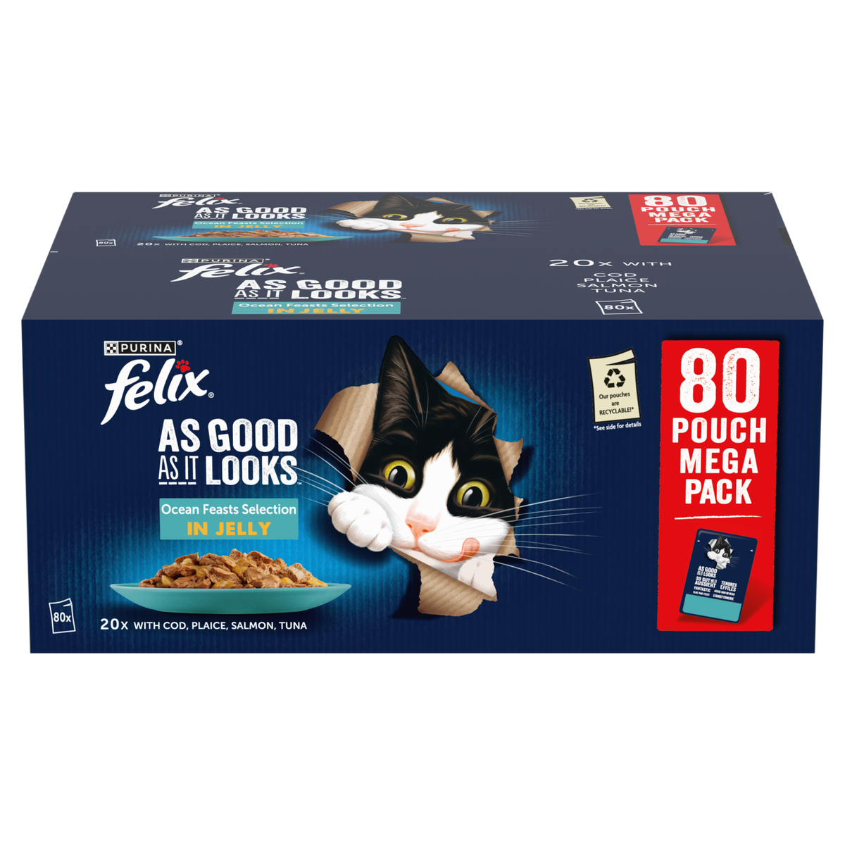 Felix As Good As it Looks Ocean Feasts Selection in Jelly Adult Wet Ca