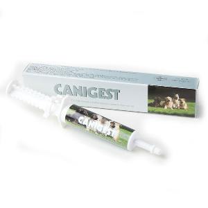 Canigest Nutritional Paste for Dogs