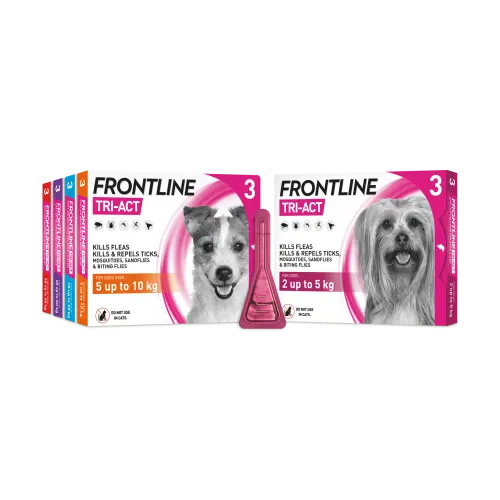 Frontline Tri-Act for Dogs | Frontline Flea and Tick for Dogs