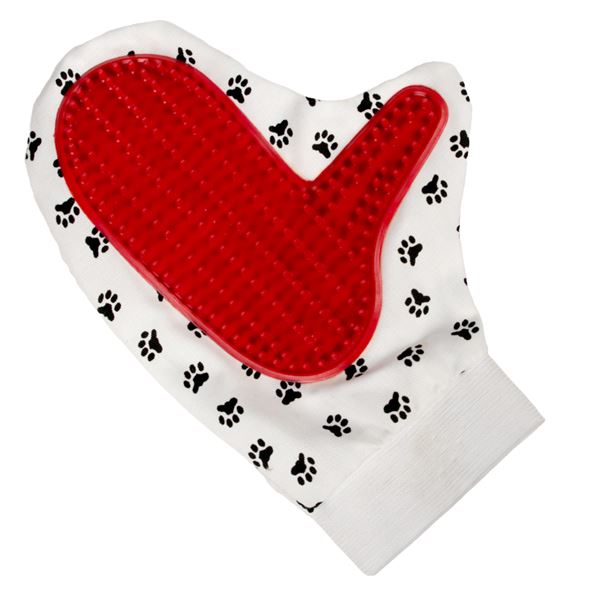 Pet Brands Easy Groom Dog Grooming Mitt | Petwell